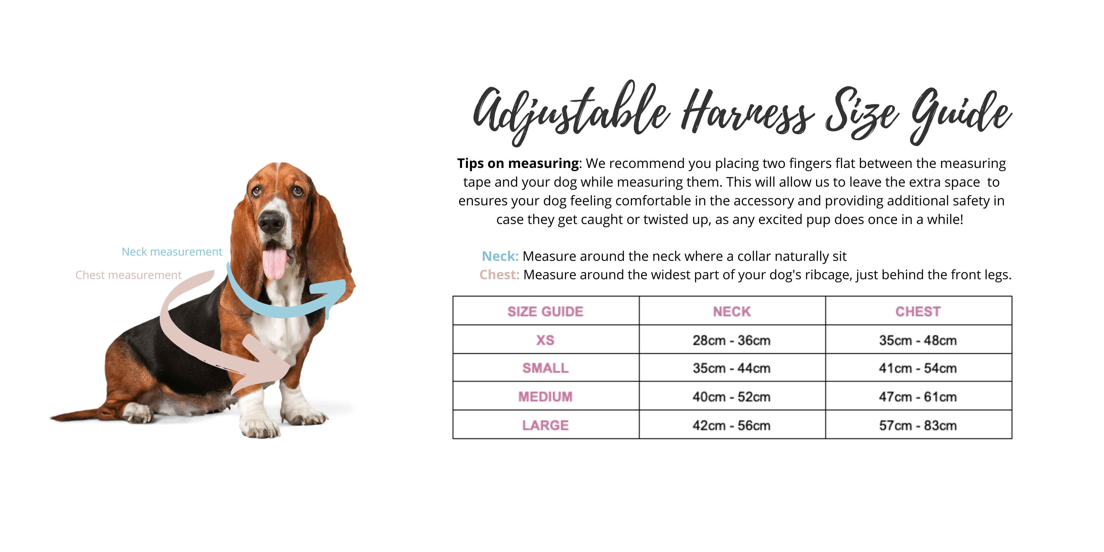 Dalmatian Dog Harness Bundle - NALZO The Label