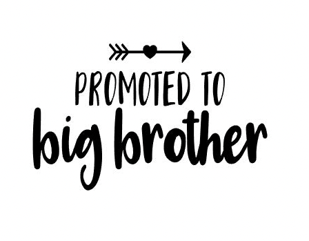 Promoted Big Bro - Add On » Dog Bandanas - NALZO The Label